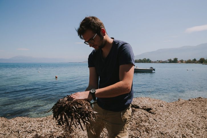 Phee: Εκεί όπου η καινοτομία συναντά τη βιωσιμότητα | Fortunegreece.com